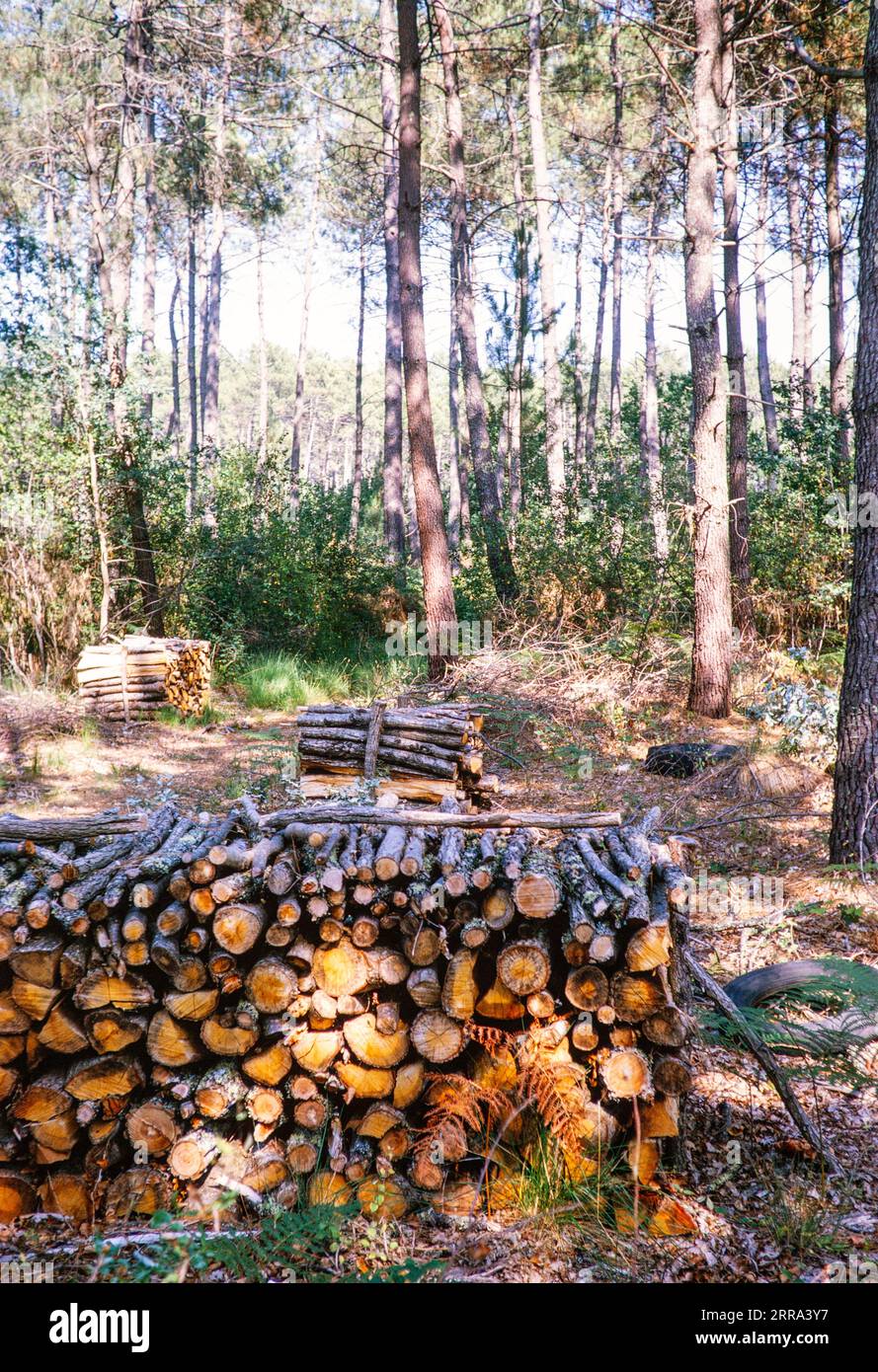 Pit props hi-res stock photography and images - Alamy