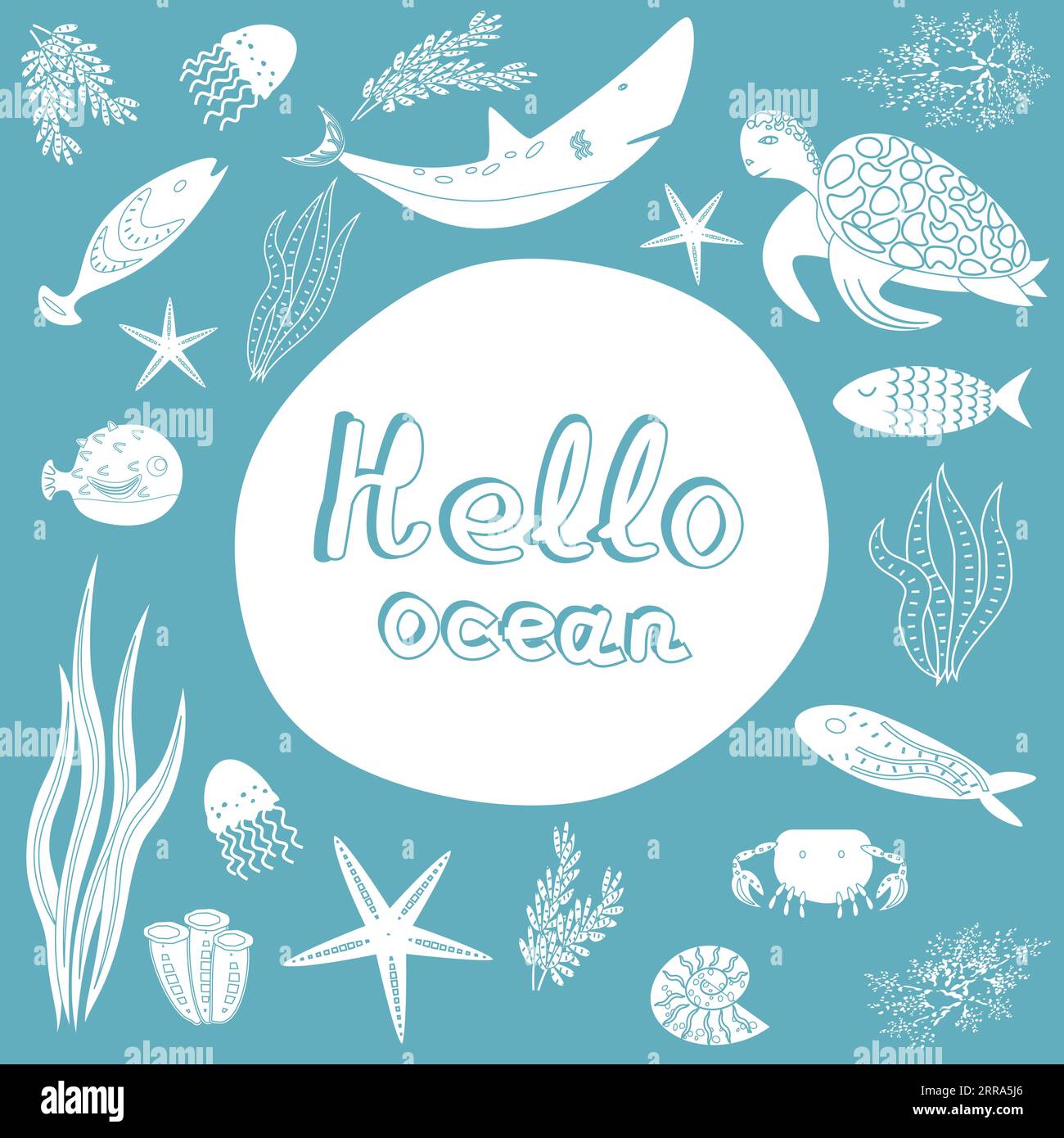 Molluscs vector vectors hi-res stock photography and images - Alamy