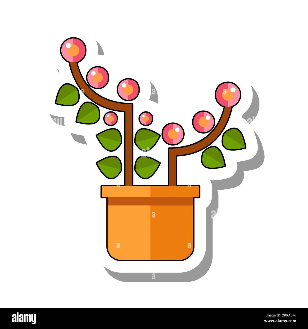 Round leaf houseplant Stock Vector Images - Alamy