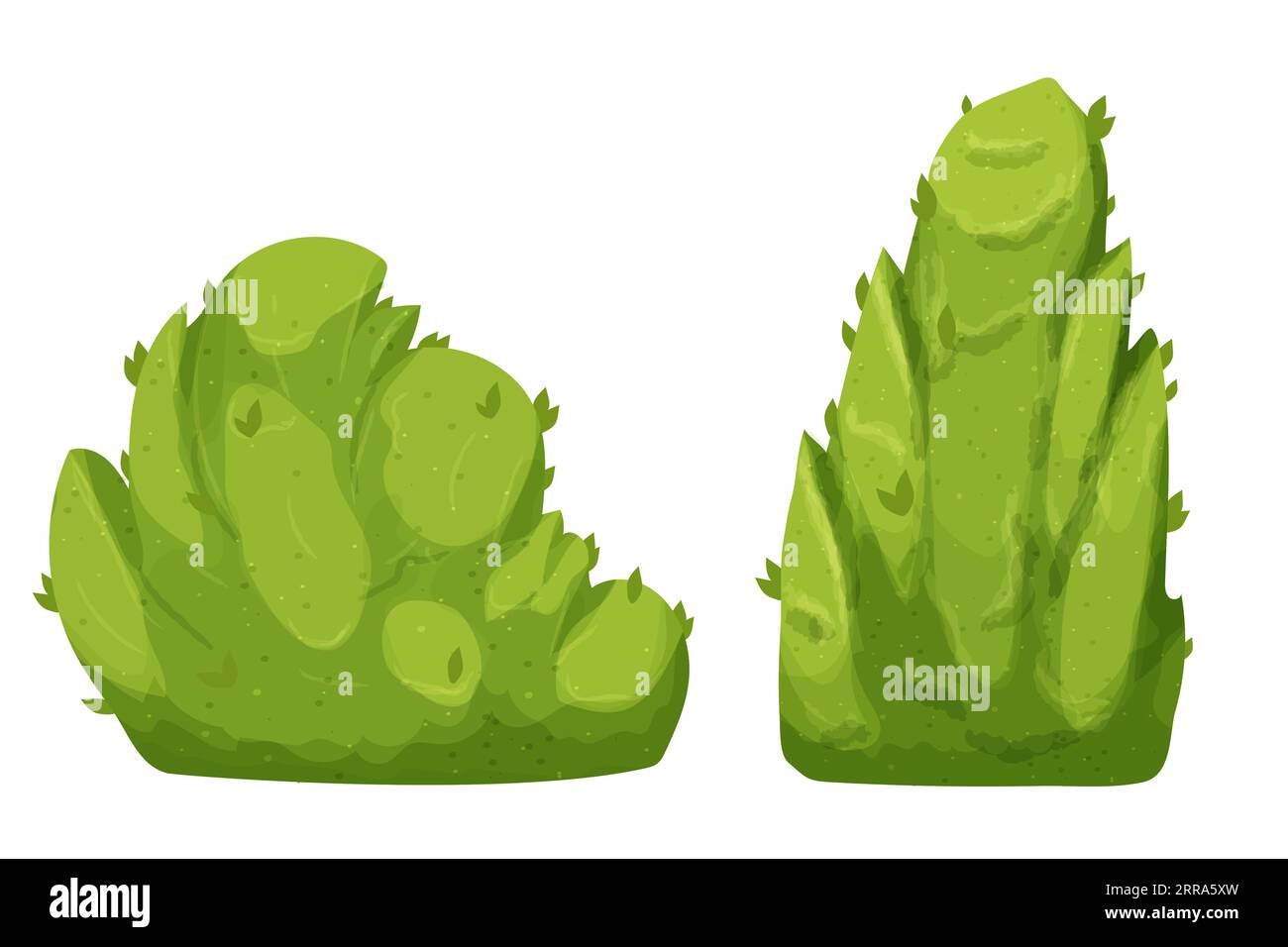 Hedge green bush forest or backyard plant with leaves in cartoon style ...
