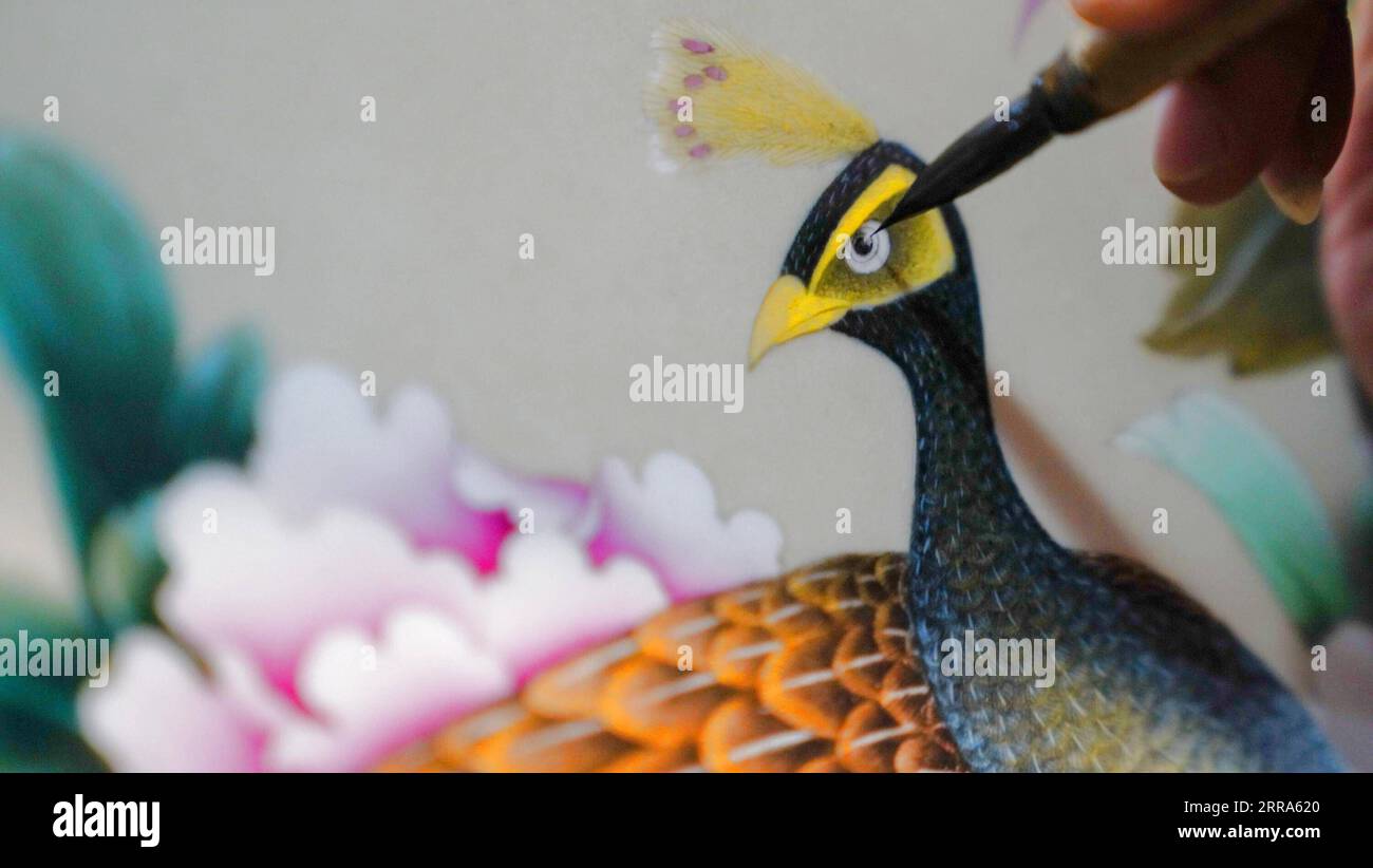In the know peacock hi-res stock photography and images - Alamy