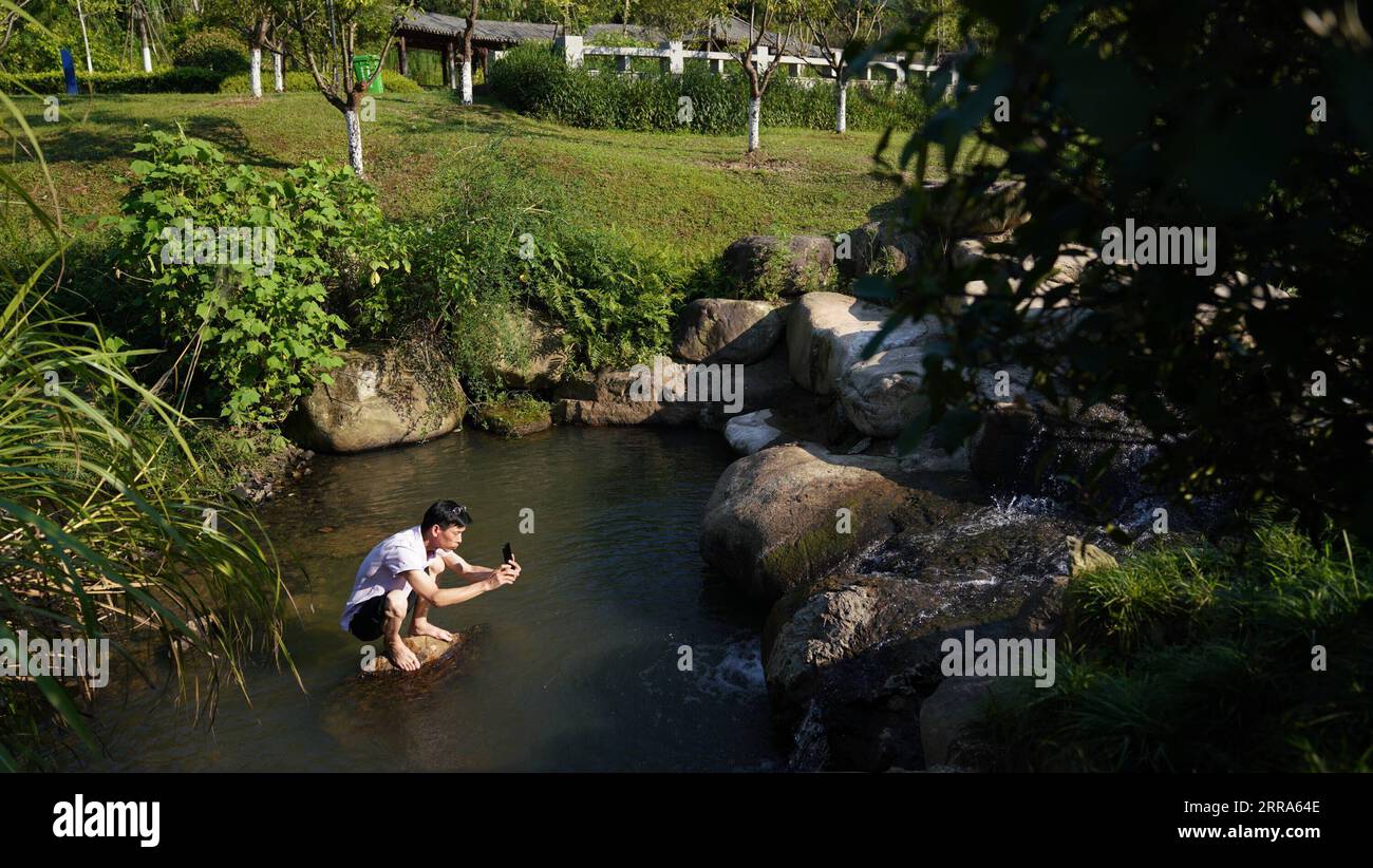 1980s creation hi-res stock photography and images - Alamy