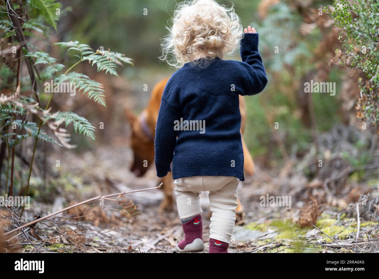 Forest path child laughing hi-res stock photography and images - Alamy