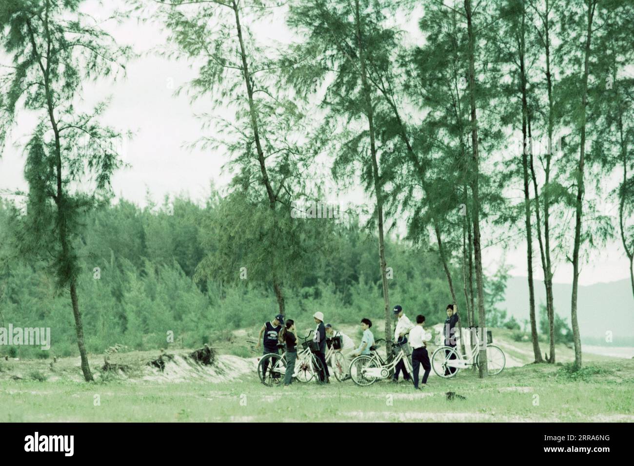 A group of Vietnamese friends gathering on the beach for a picnic ...