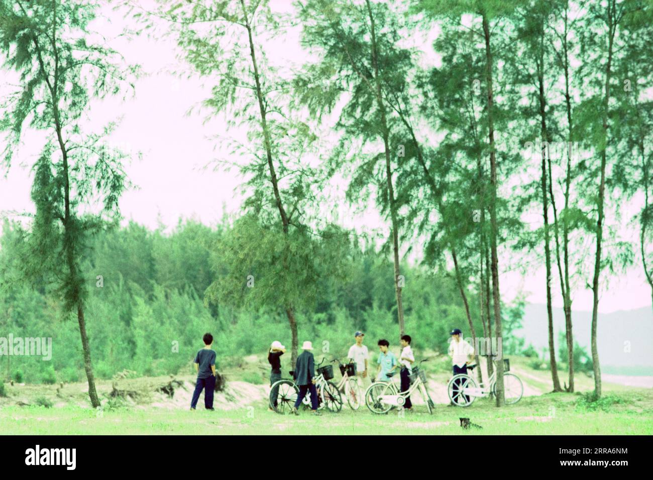 A group of Vietnamese friends gathering on the beach for a picnic ...