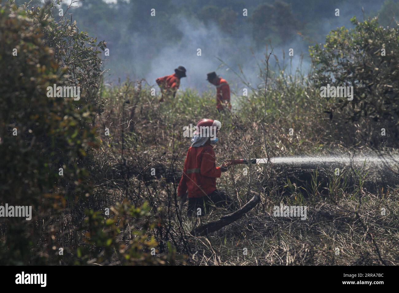 Fire fighter tries extinguish hi-res stock photography and images - Alamy