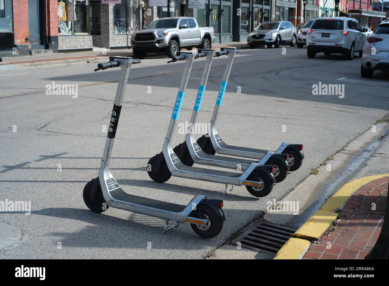 Bird Rides electric scooters in Bay City Michigan Stock Photo - Alamy