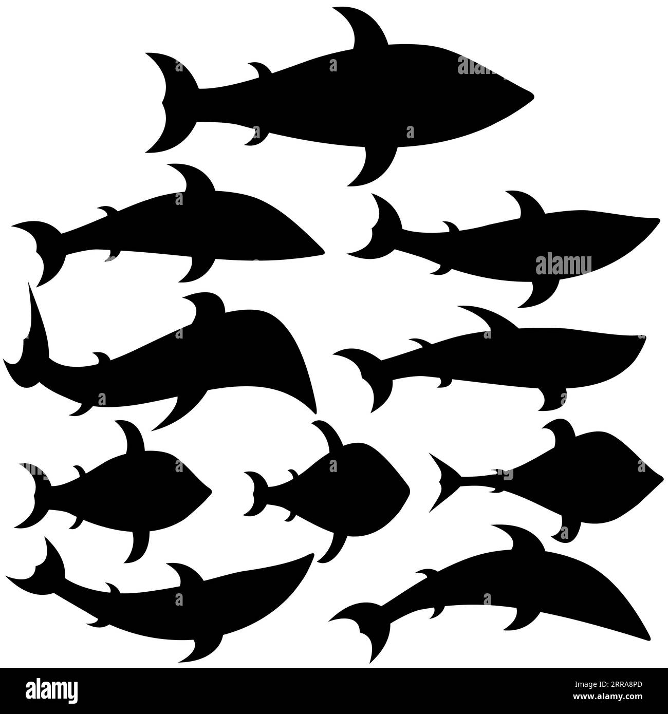 Freshwater fish types Black and White Stock Photos & Images - Alamy