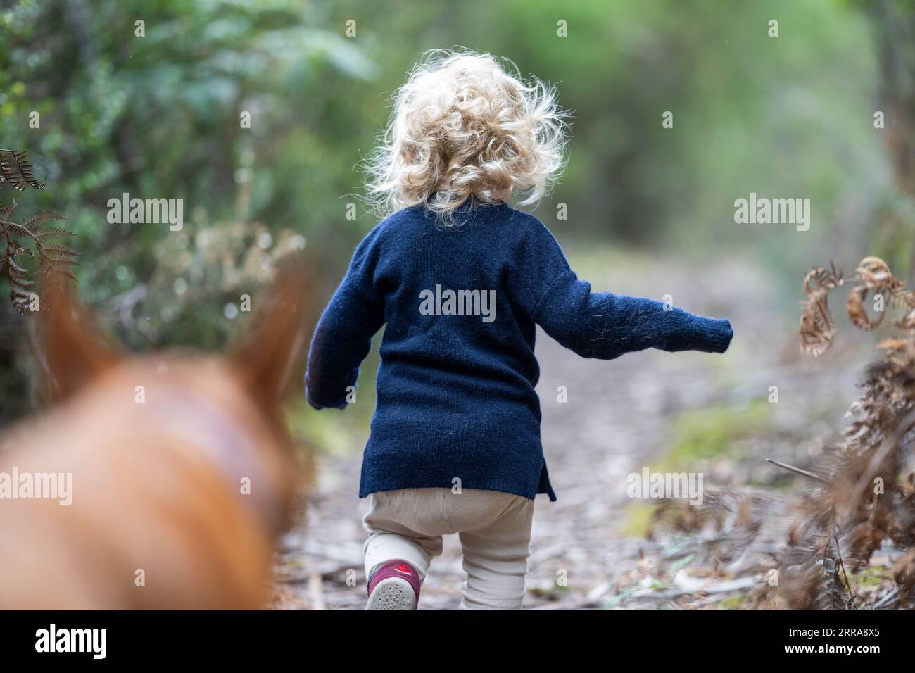 Path in the bush hi-res stock photography and images - Alamy
