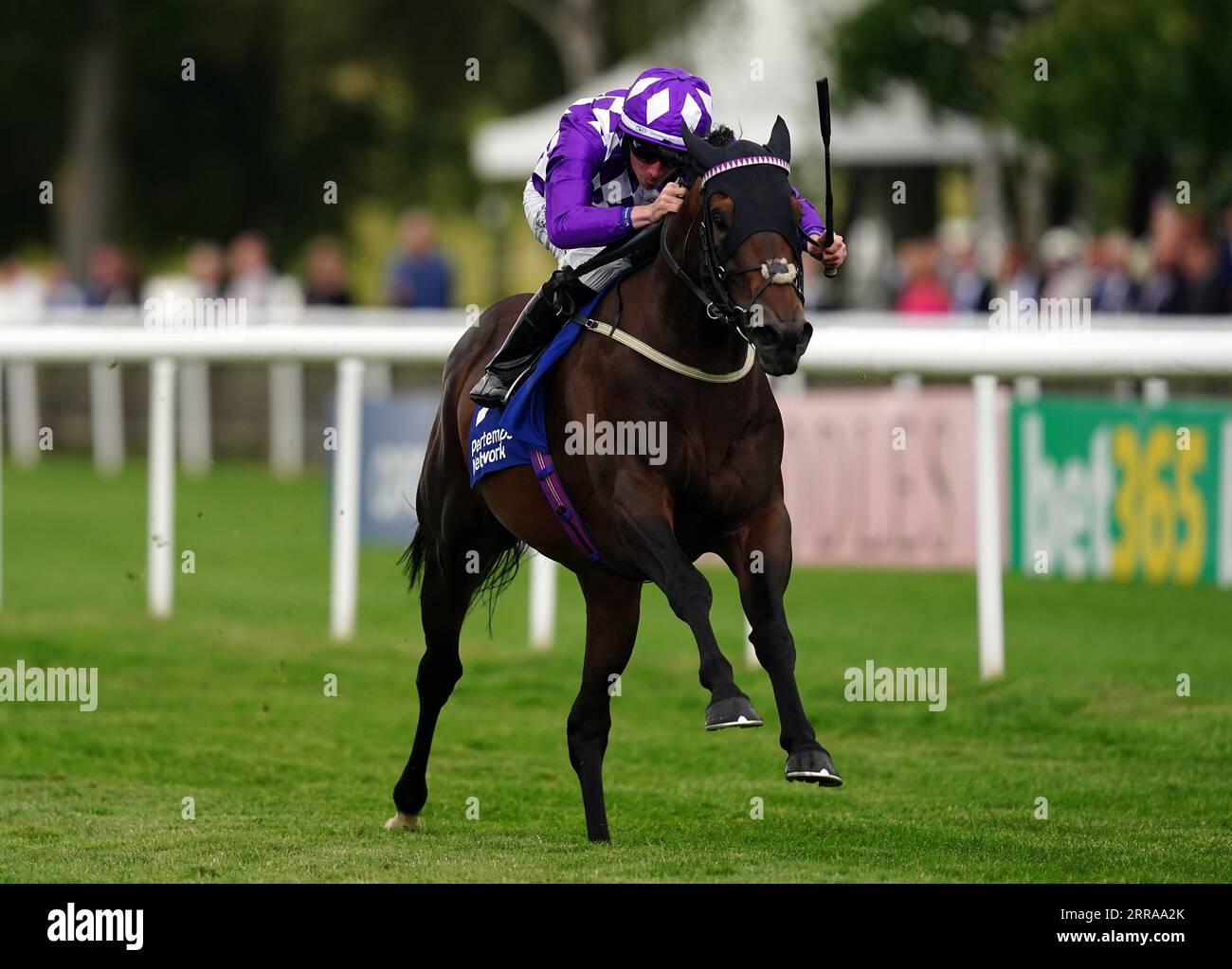 Rossa ryan shaquille hi-res stock photography and images - Alamy