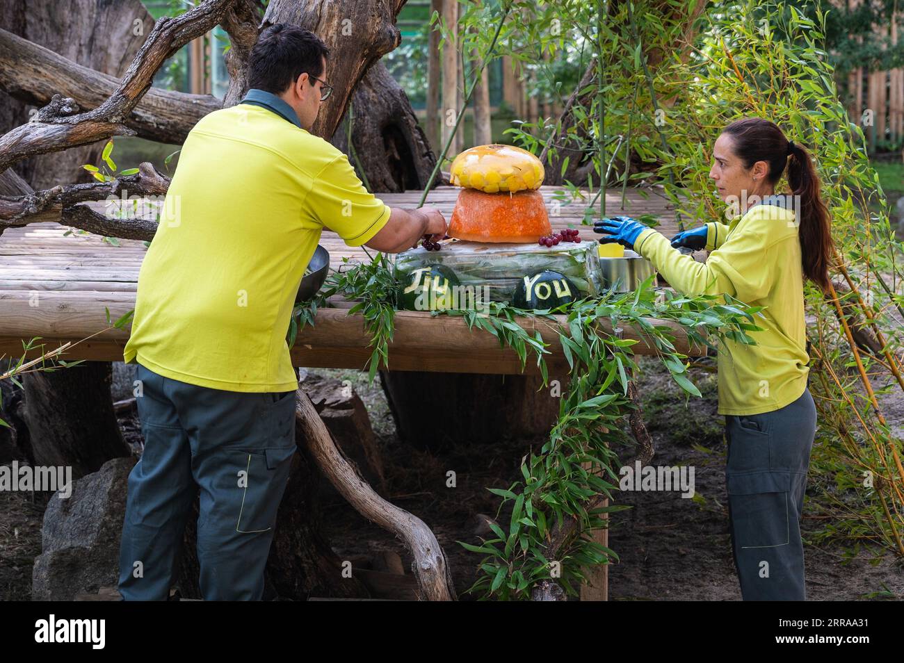 Zoo workers hi-res stock photography and images - Alamy