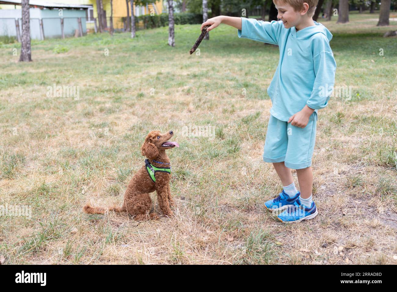 friendship between a child and a dog, the joy of life, happy moments ...