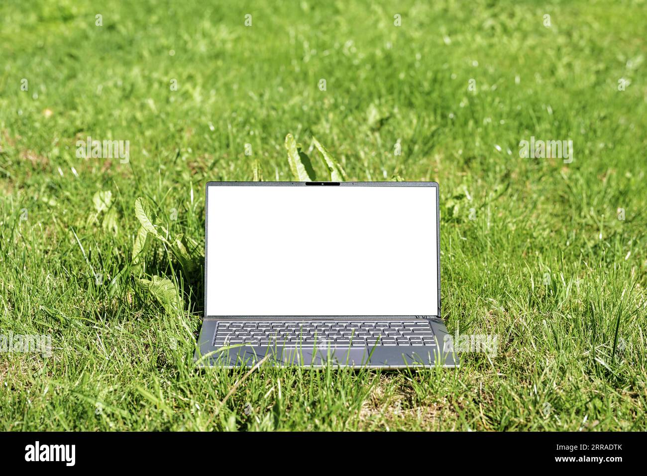 Laptop computer with white screen mock up in the grass on a meadow ...