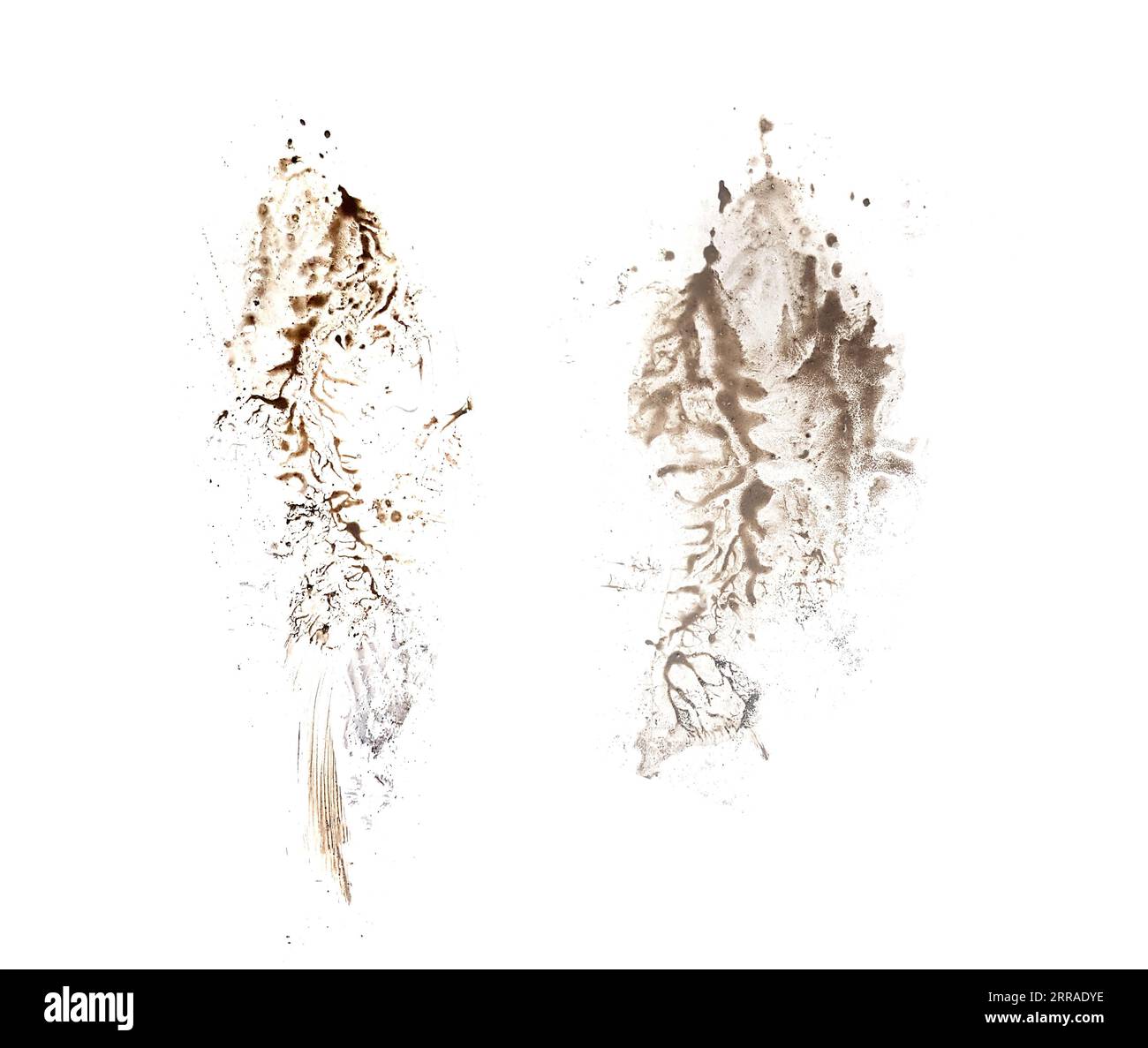 Two footprint isolated on white background. Dirty muddy print boot ...