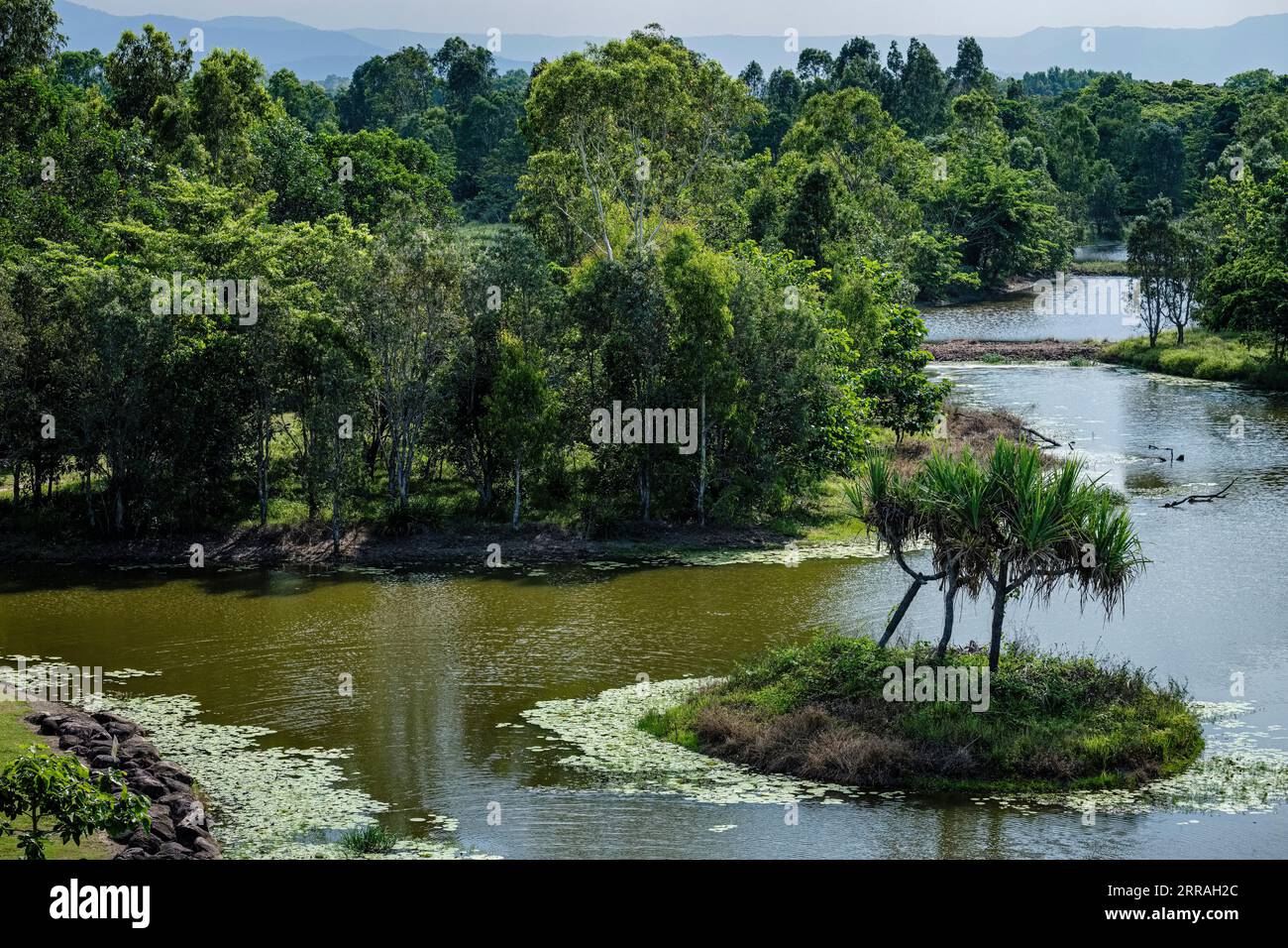 TYTO Wetlands, Ingham, Queensland, Australia Stock Photo - Alamy