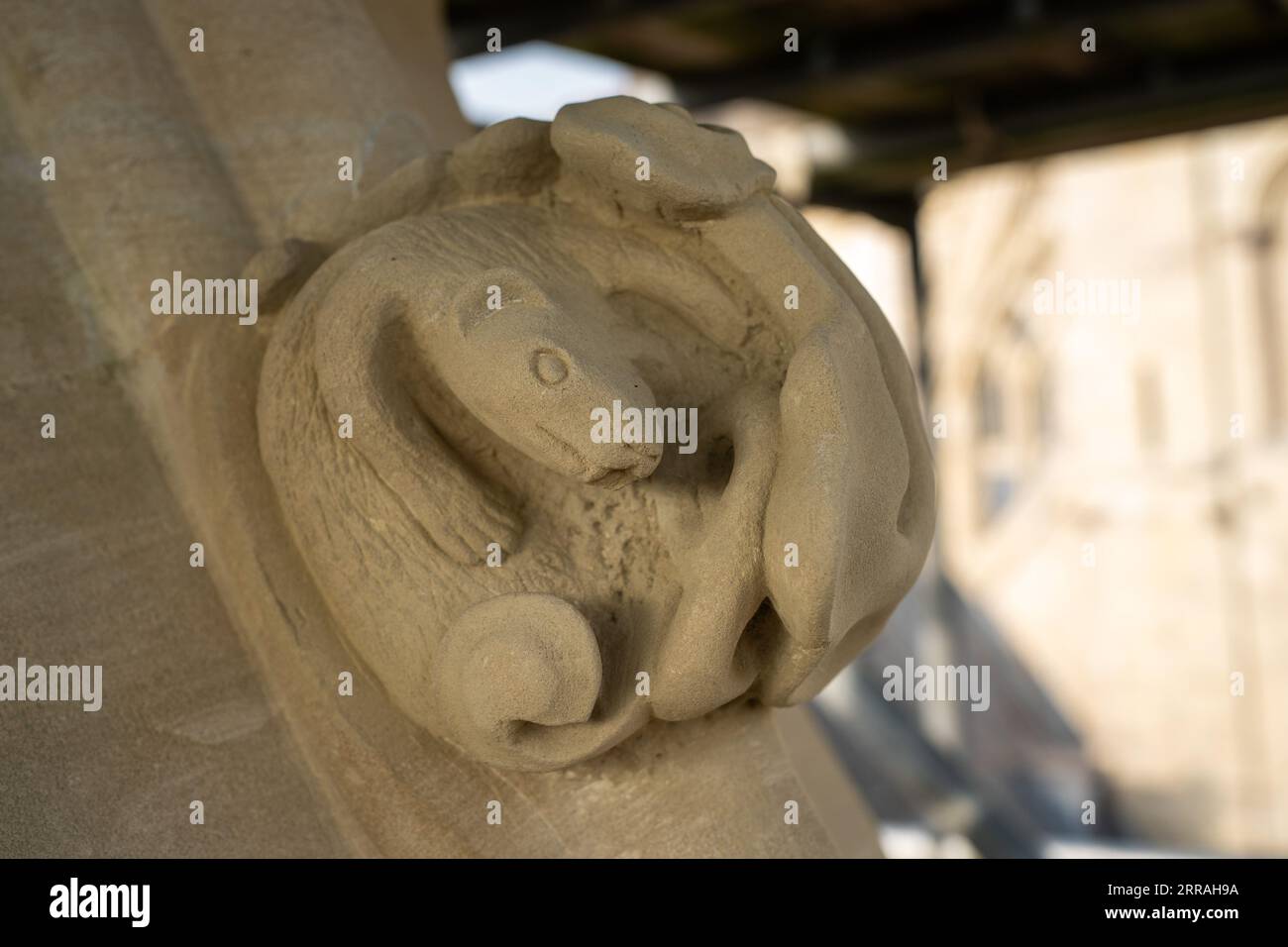 Fine stone masonry work shows a ferret carved into a decorative stone ...