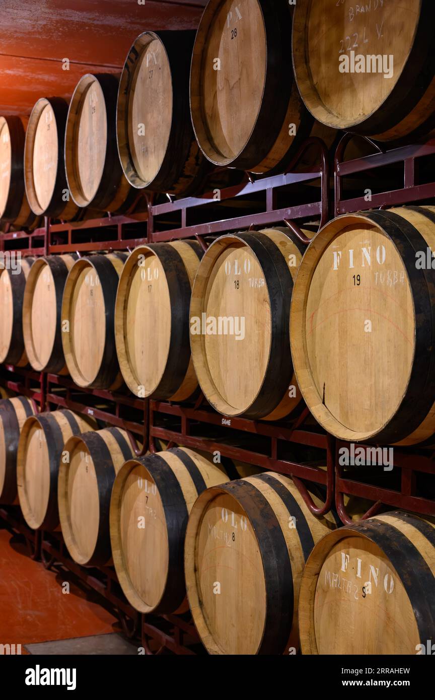 Production of fortified jerez, xeres, sherry wines in french oak ...