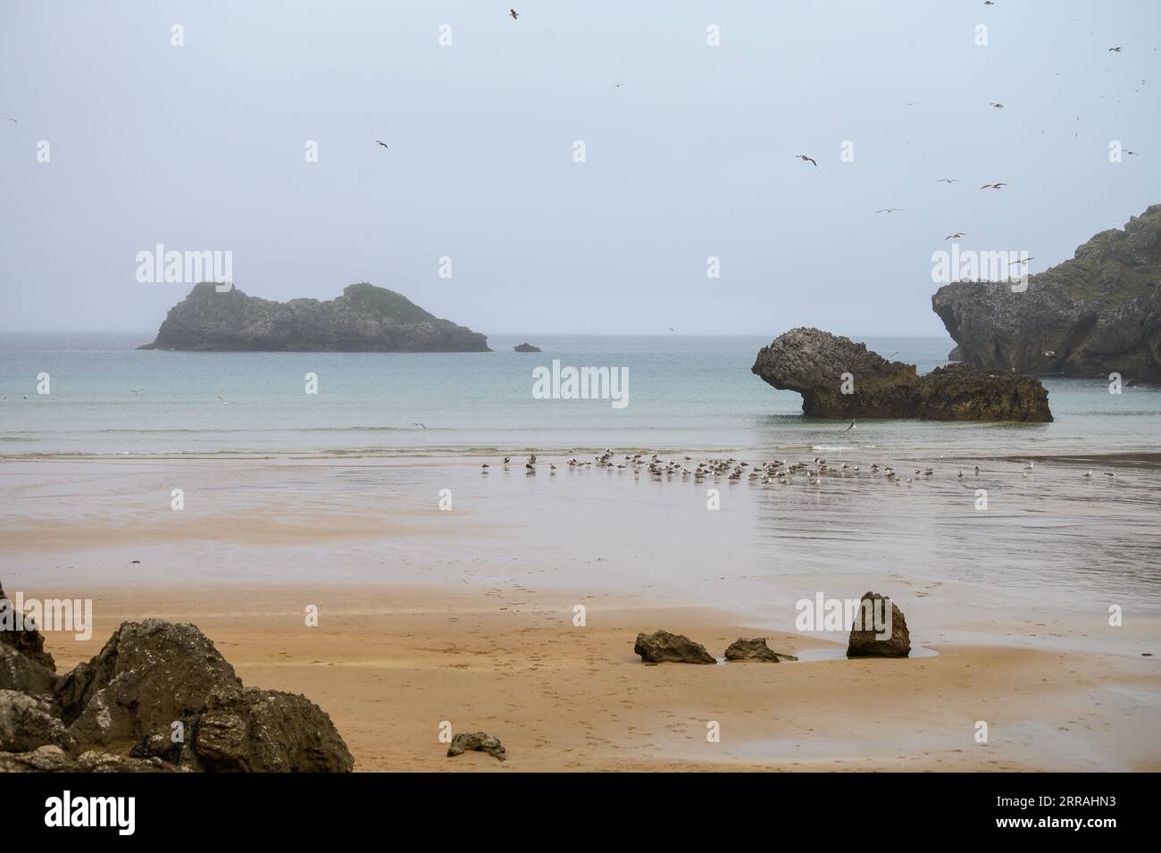 View on Playa de Palombina in Celorio village, Green coast of Asturias ...