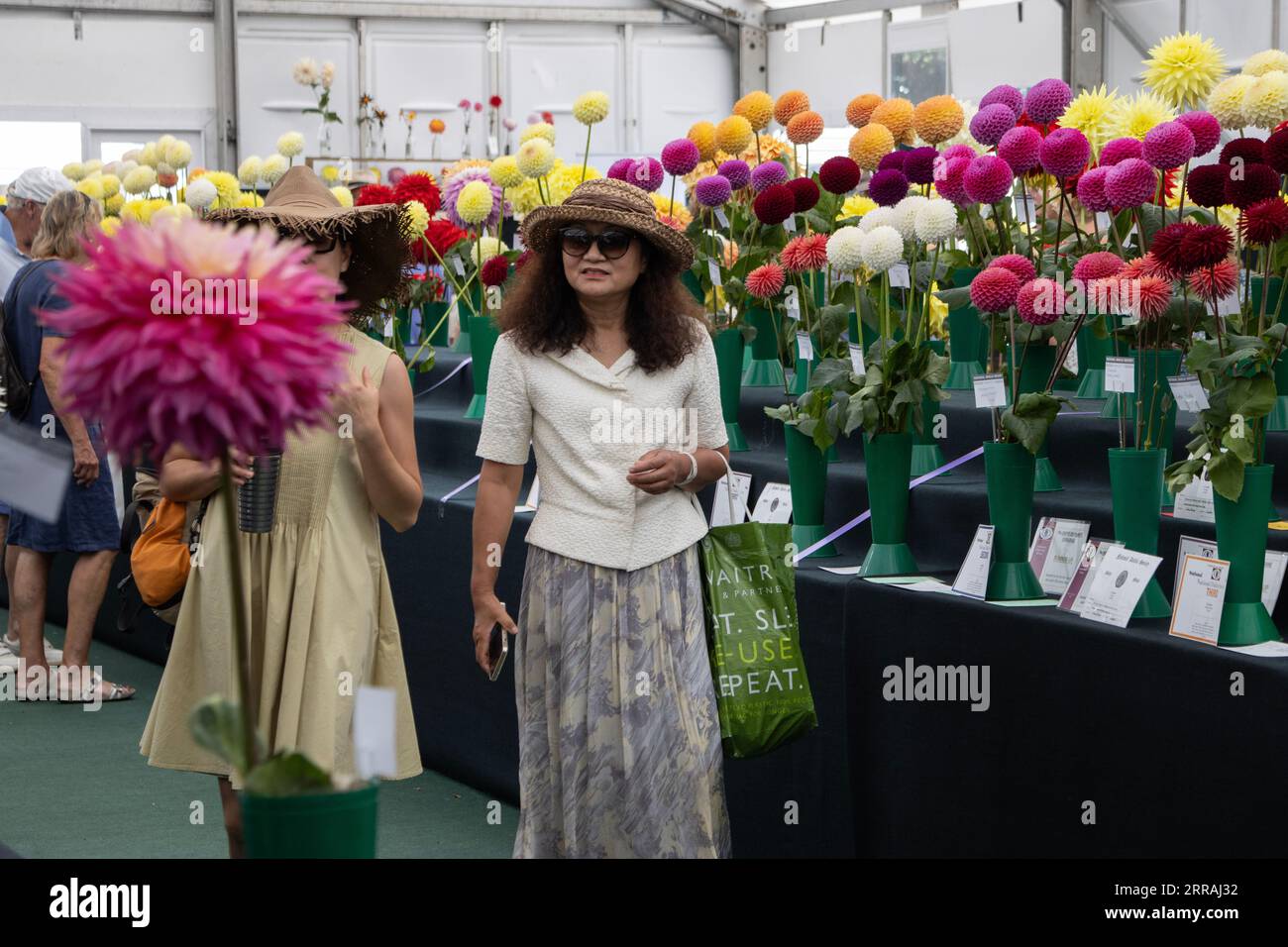 Horticulturist enthusiasts enjoy the hot temperatures at RHS Wisley ...