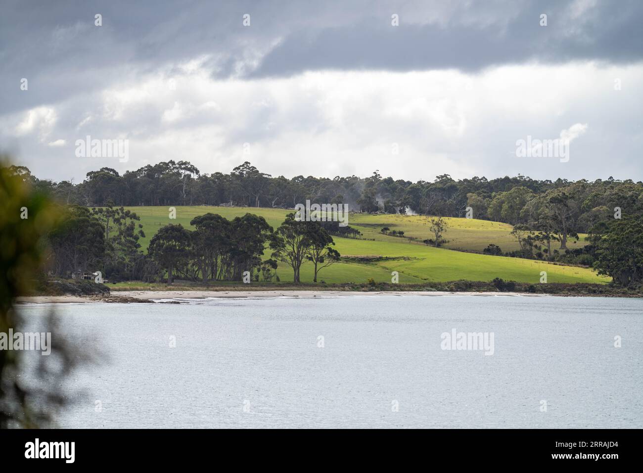 farm on the coast next to the ocean in australia Stock Photo - Alamy