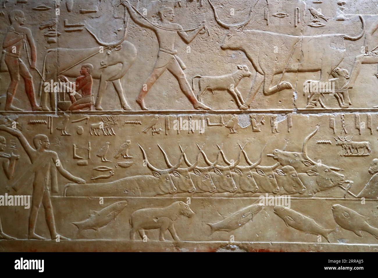 210804 -- CAIRO, Aug. 4, 2021 -- Photo taken on Aug. 3, 2021 shows a ...