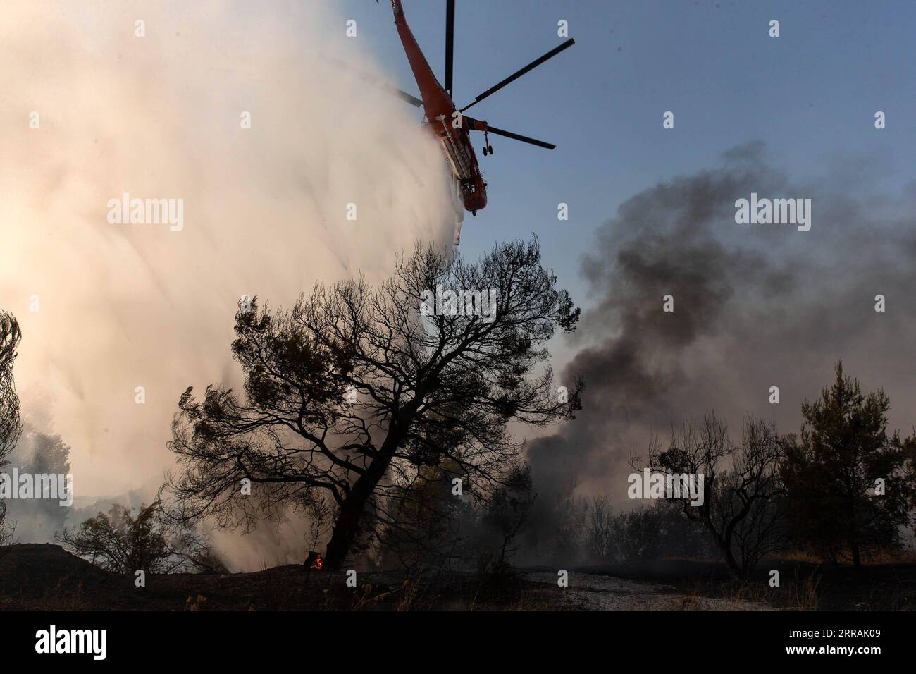 Grece acharnes wildfire hi-res stock photography and images - Alamy