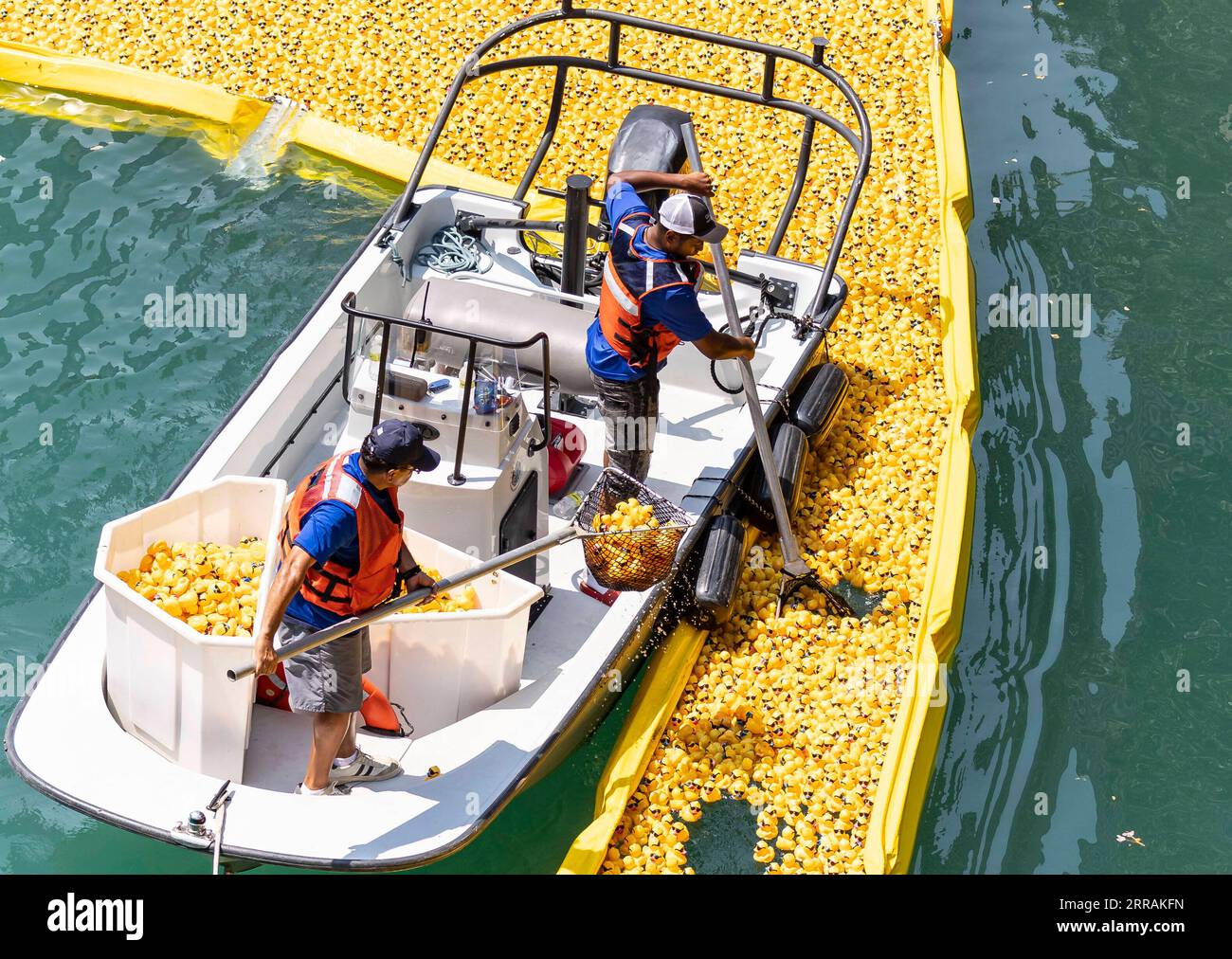210805 -- CHICAGO, Aug. 5, 2021 -- Yellow rubber ducks are taken out of ...