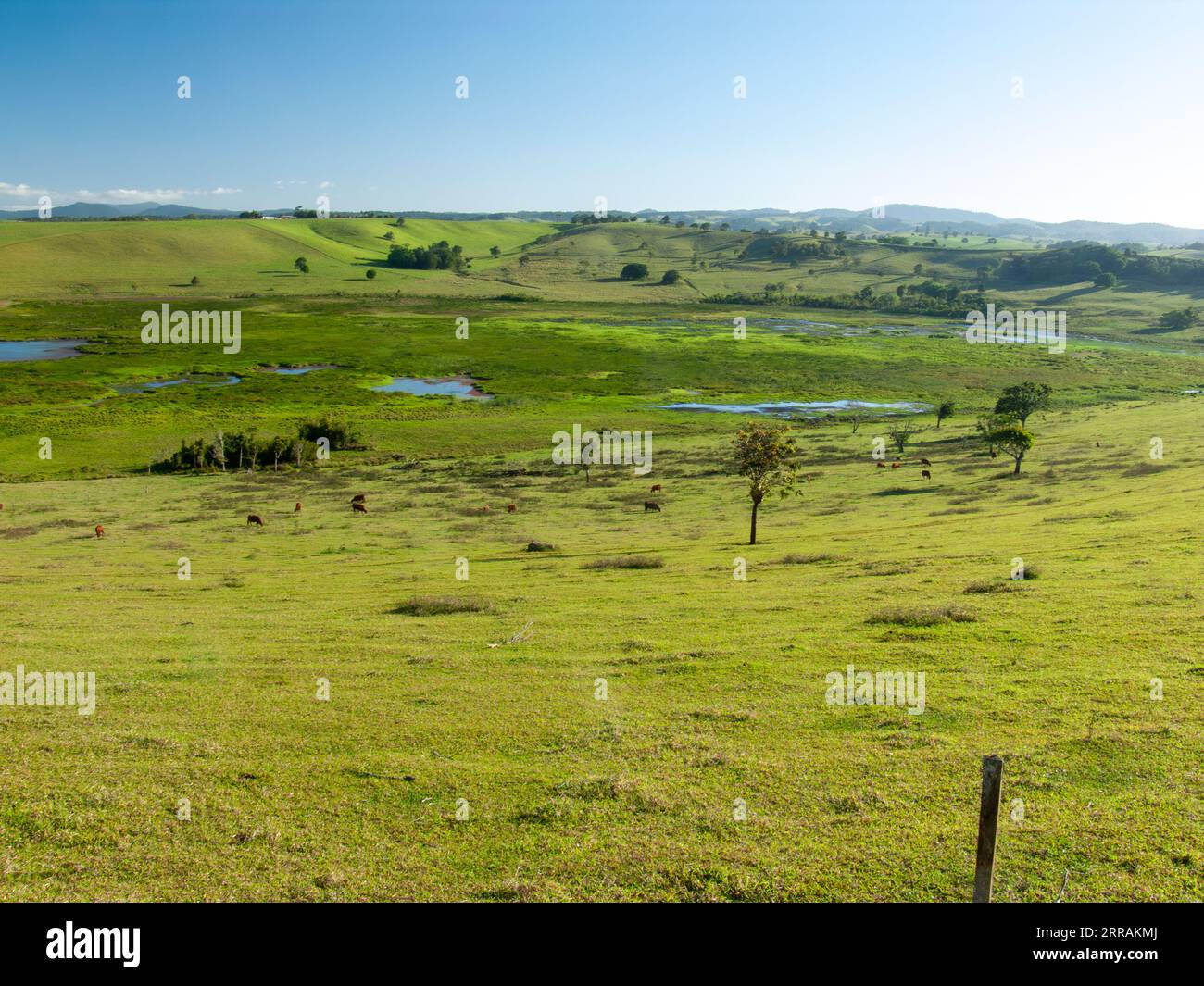 Bromfield Swamp, Shallow crater of extinct Volcano, Malanda, Australia ...