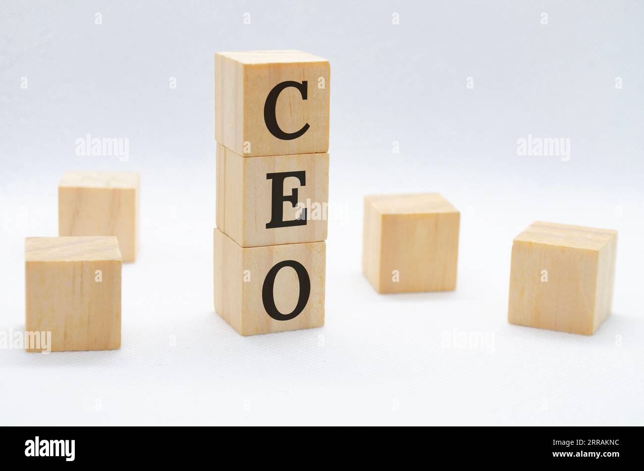 CEO text on wooden blocks on white background with customizable space ...