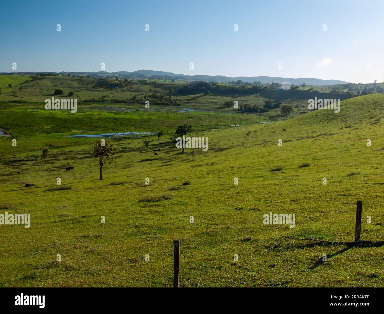 Bromfield Swamp, Shallow crater of extinct Volcano, Malanda, Australia Stock Photo - Alamy