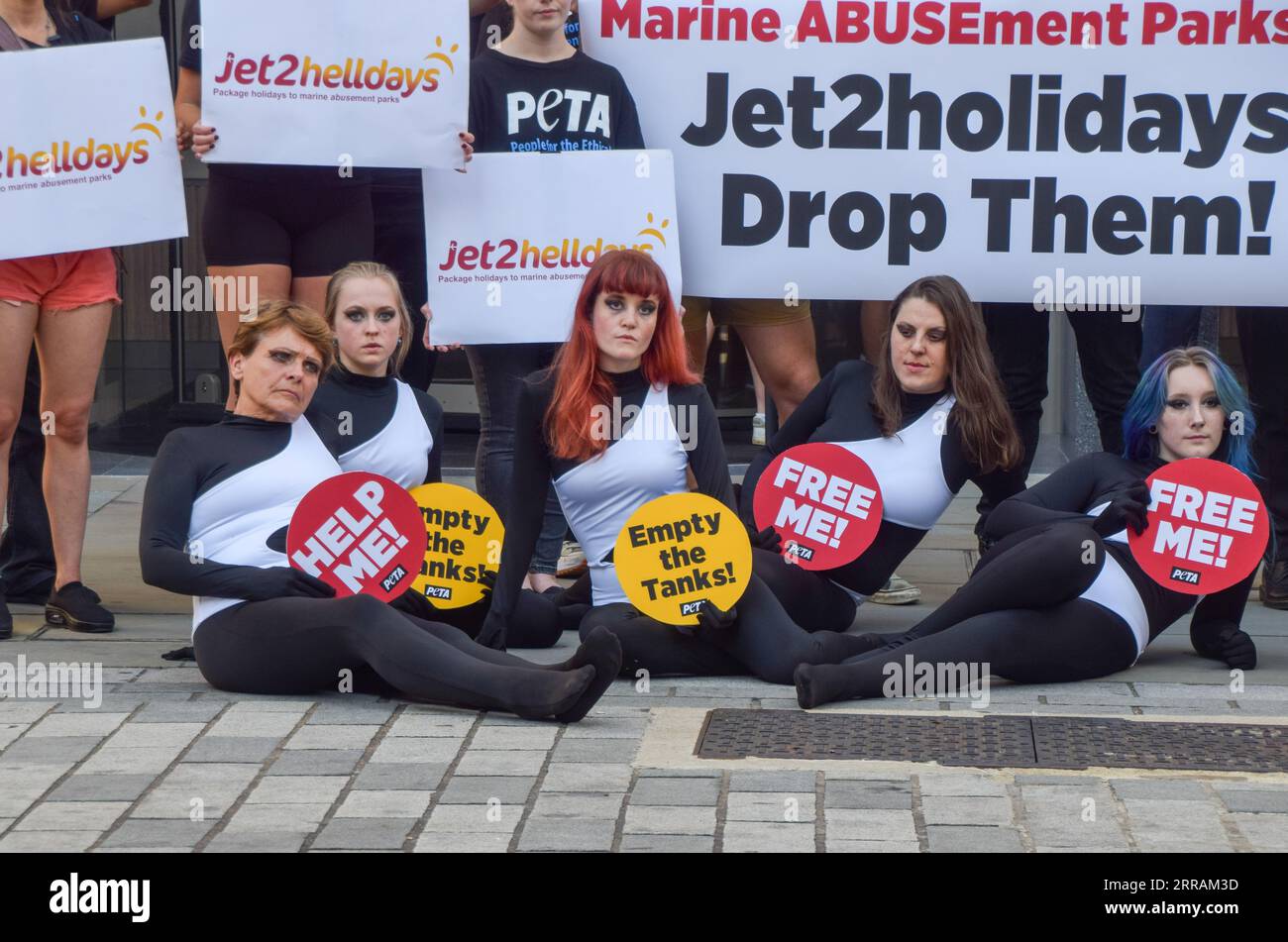 London, England, UK. 7th Sep, 2023. PETA activists wearing orca ...