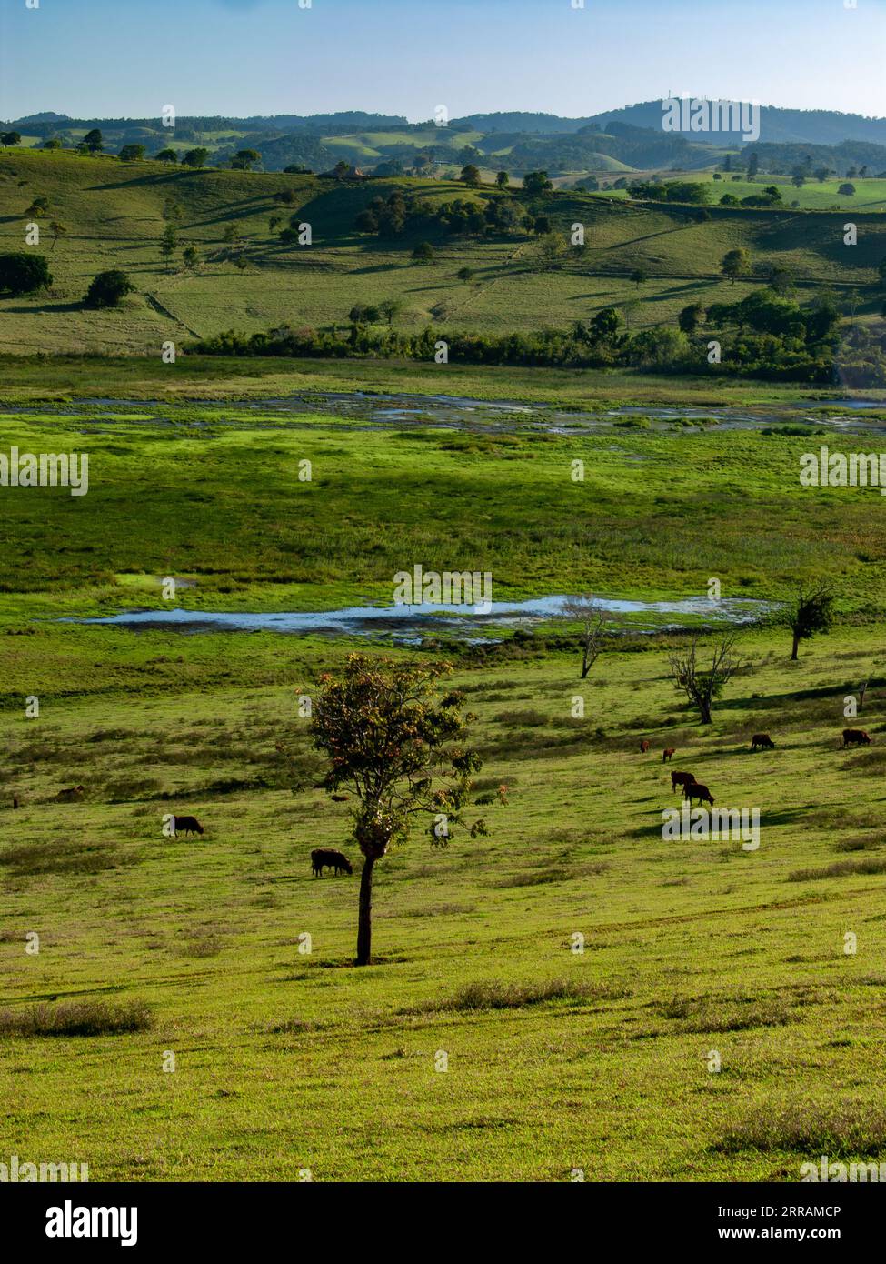 Volcano australia hi-res stock photography and images - Alamy