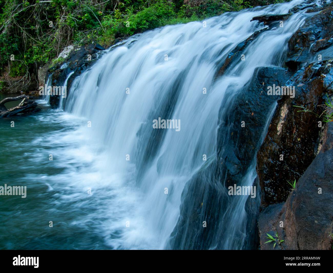 North johnstone river australia hi-res stock photography and images - Alamy