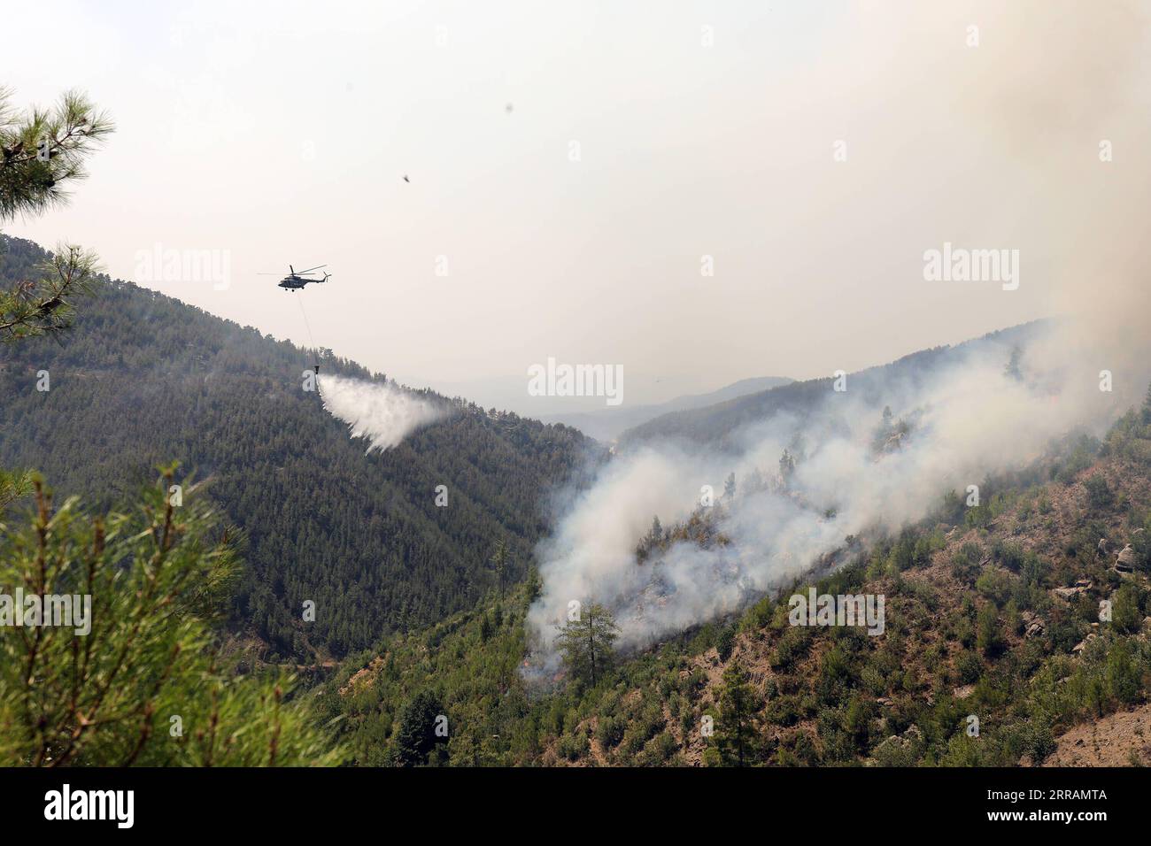 Turkey mugla wildfires hi-res stock photography and images - Alamy