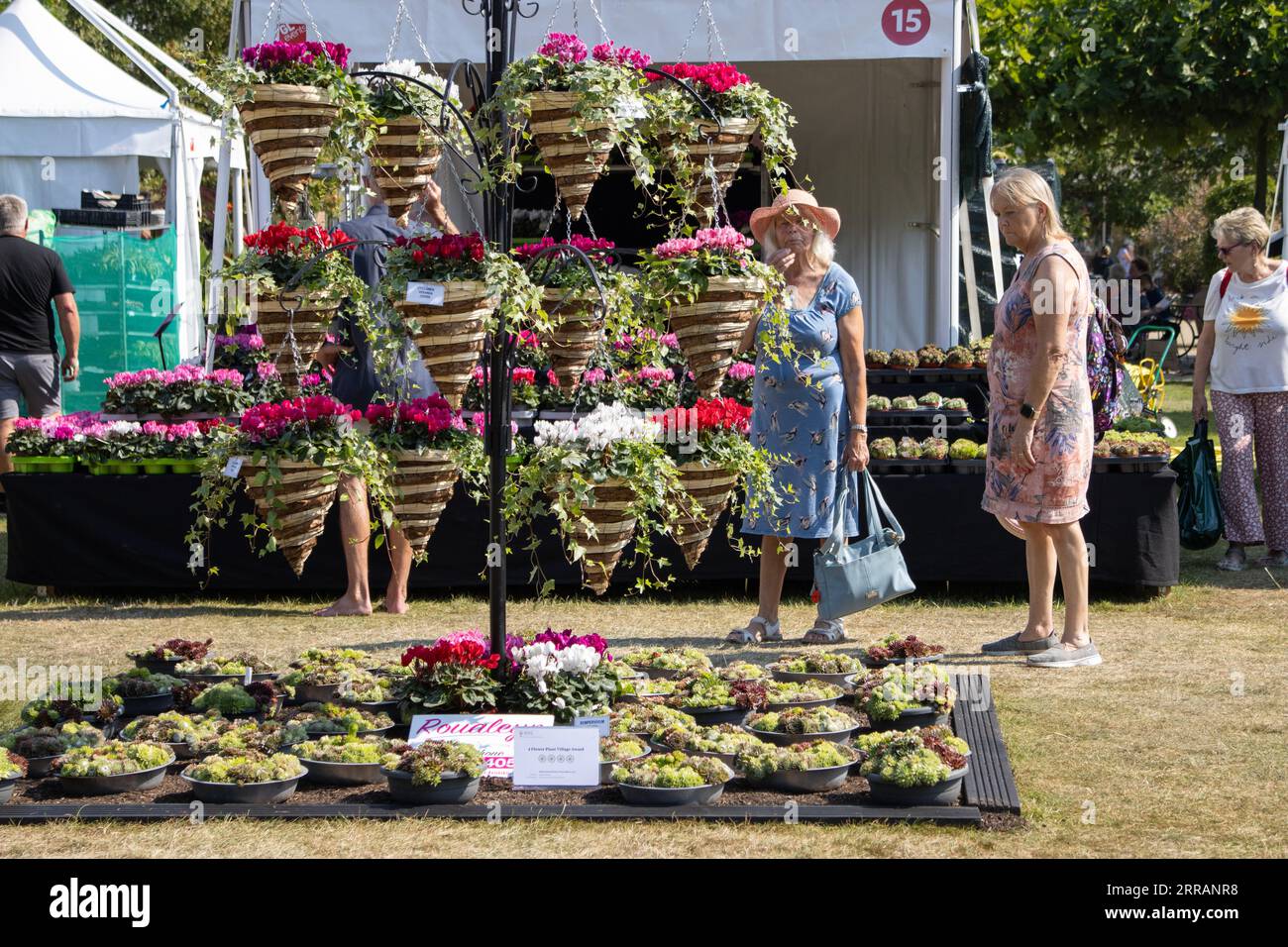 Horticulturist enthusiasts enjoy the hot temperatures at RHS Wisley ...