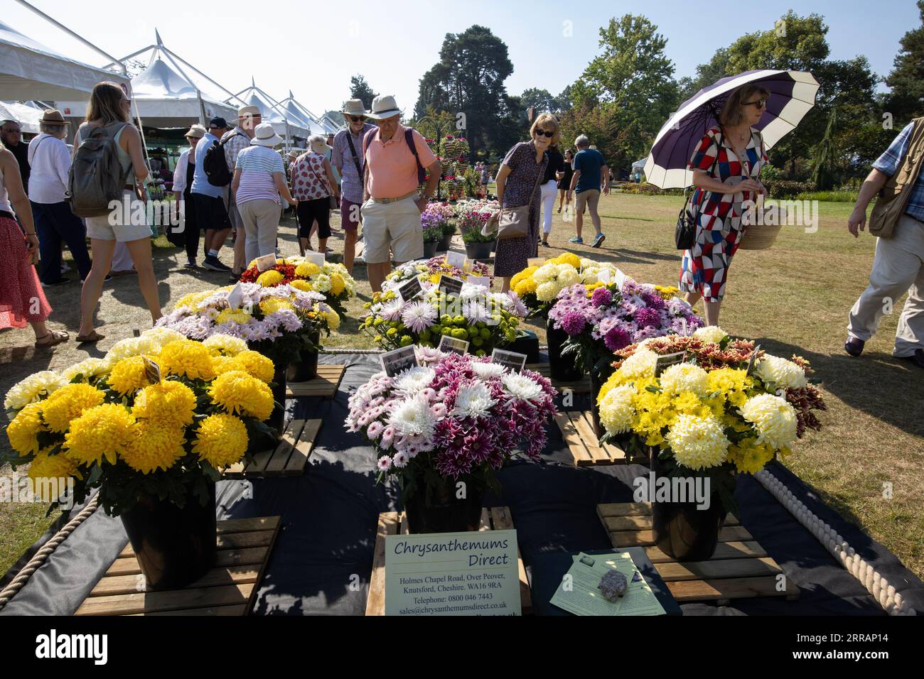 Horticulturist enthusiasts enjoy the hot temperatures at RHS Wisley ...