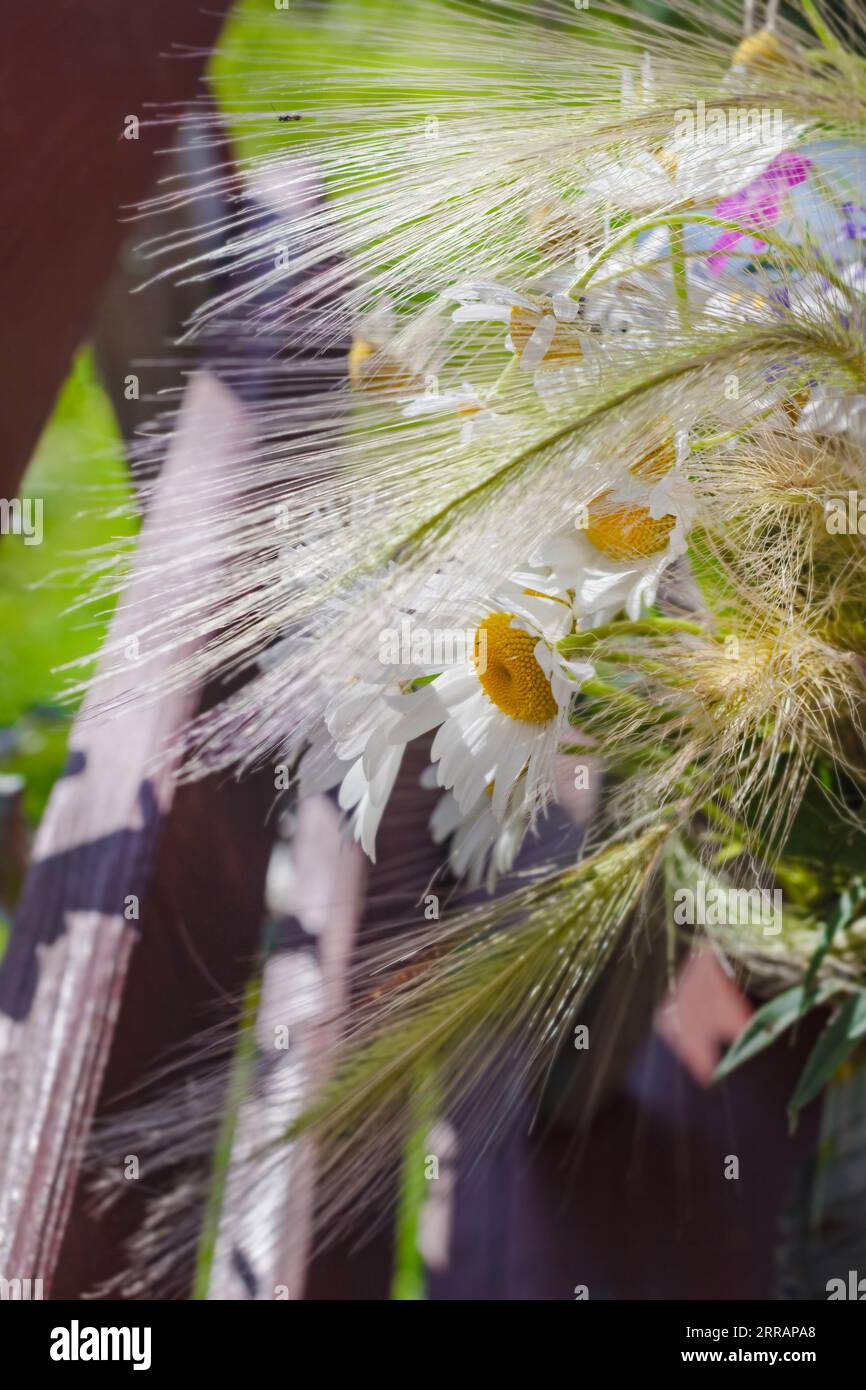 Nice flowers petals natural hi-res stock photography and images - Alamy