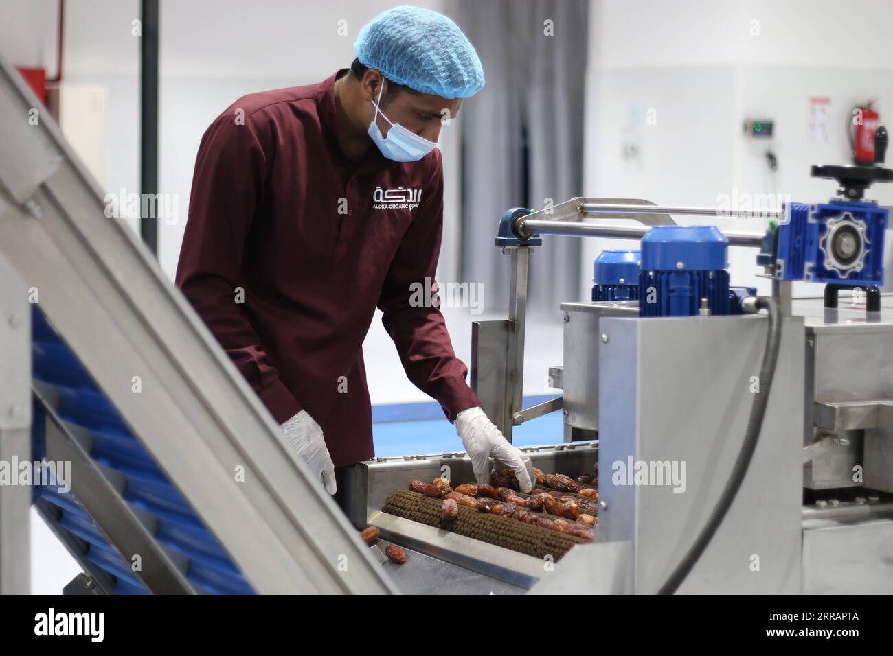 210813 -- RIYADH, Aug. 13, 2021 -- A worker sorts dates at an organic ...