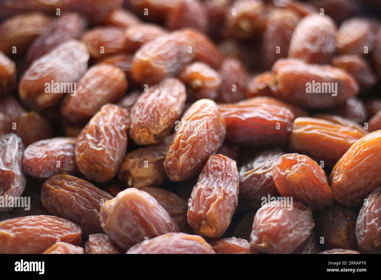 Saudi arabia date palm farm hi-res stock photography and images - Alamy