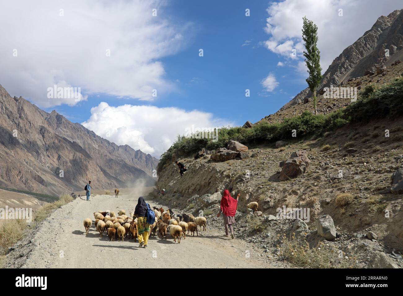 Sheep herders at the Shandur Pass in northern Pakistan Stock Photo - Alamy