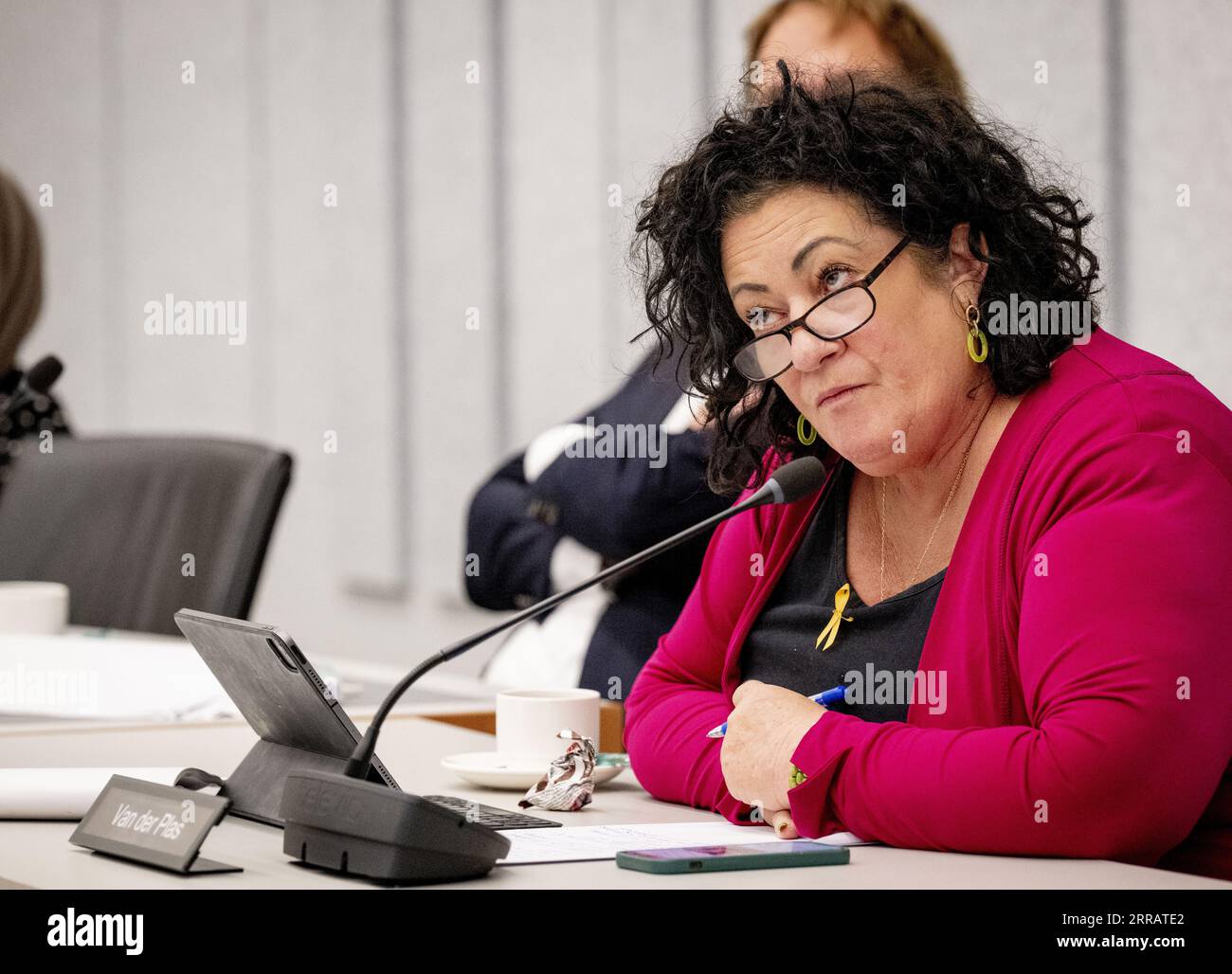THE HAGUE - Caroline van der Plas (BBB) during a round table discussion ...