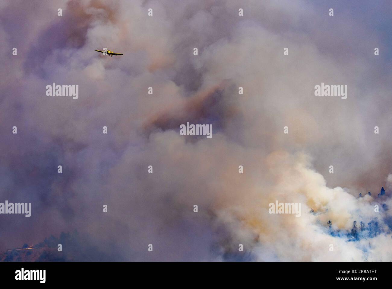 Smoke rises from massive forest hi-res stock photography and images - Alamy