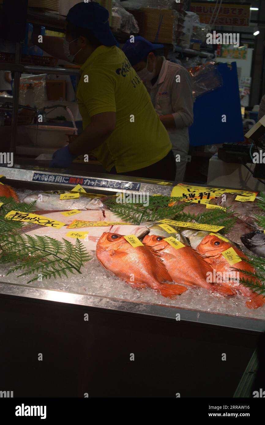 Nikon fish photography hi-res stock photography and images - Alamy