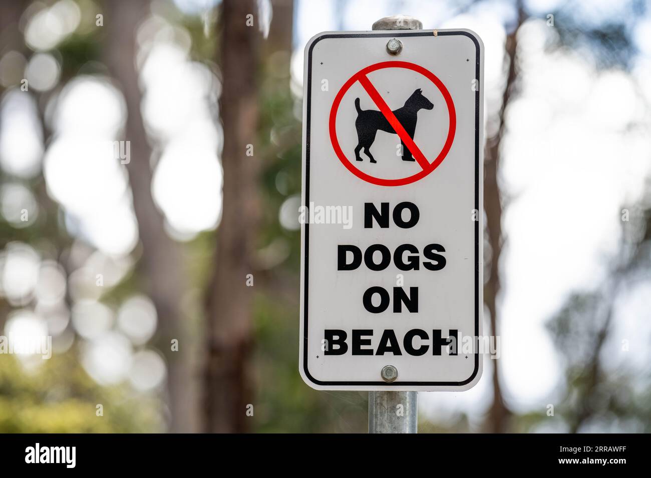 No dogs allowed signs, on a bush walking track Stock Photo - Alamy