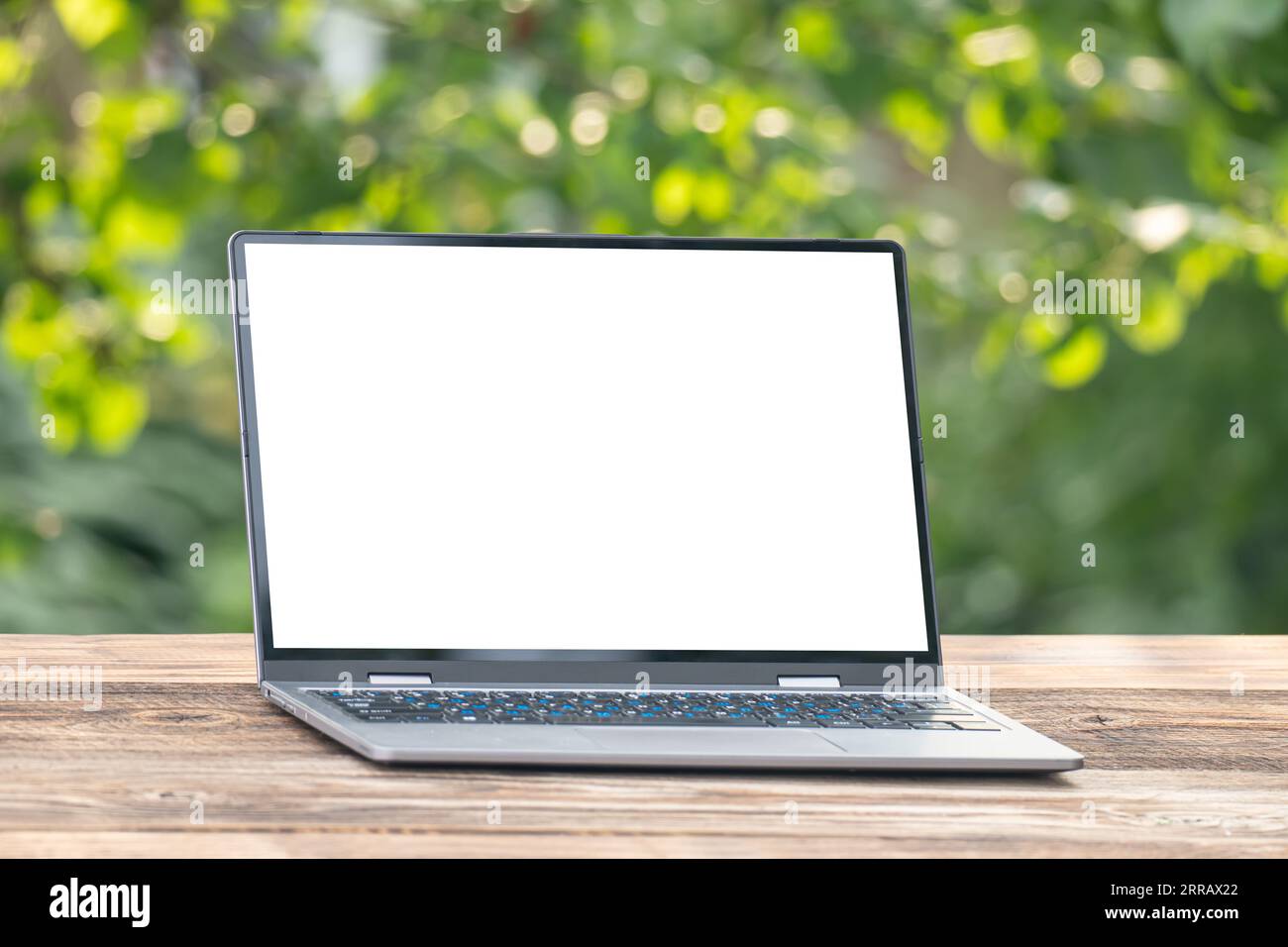 Laptop screen is blank are placed on wooden table and trees with nature ...