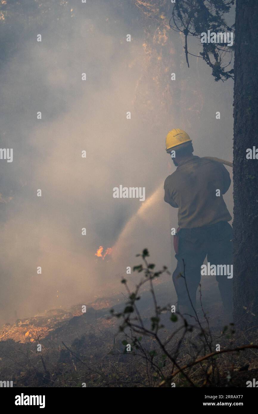Dixie fire greenville hi-res stock photography and images - Alamy