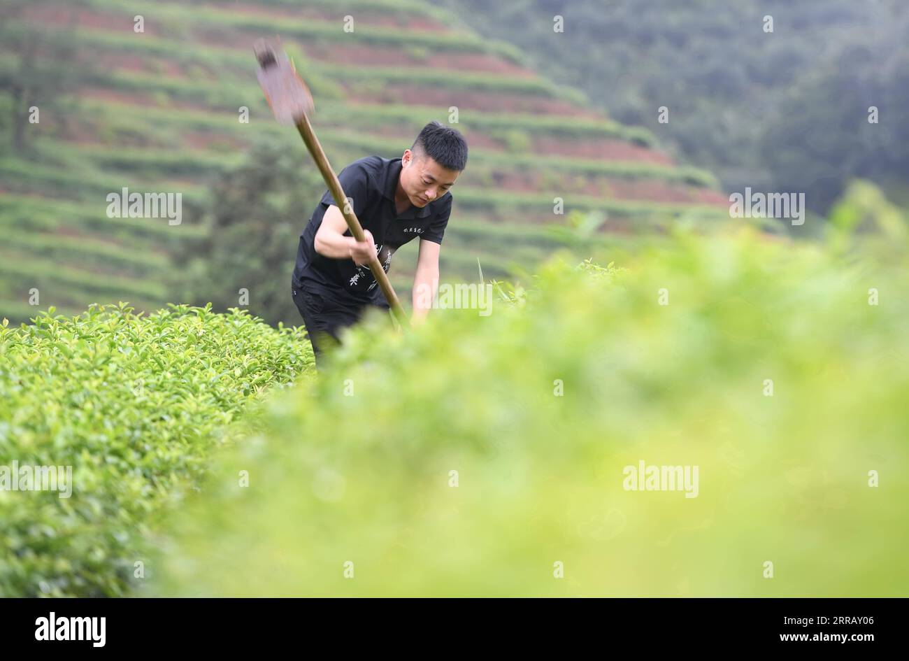 Gh skilled hi-res stock photography and images - Alamy