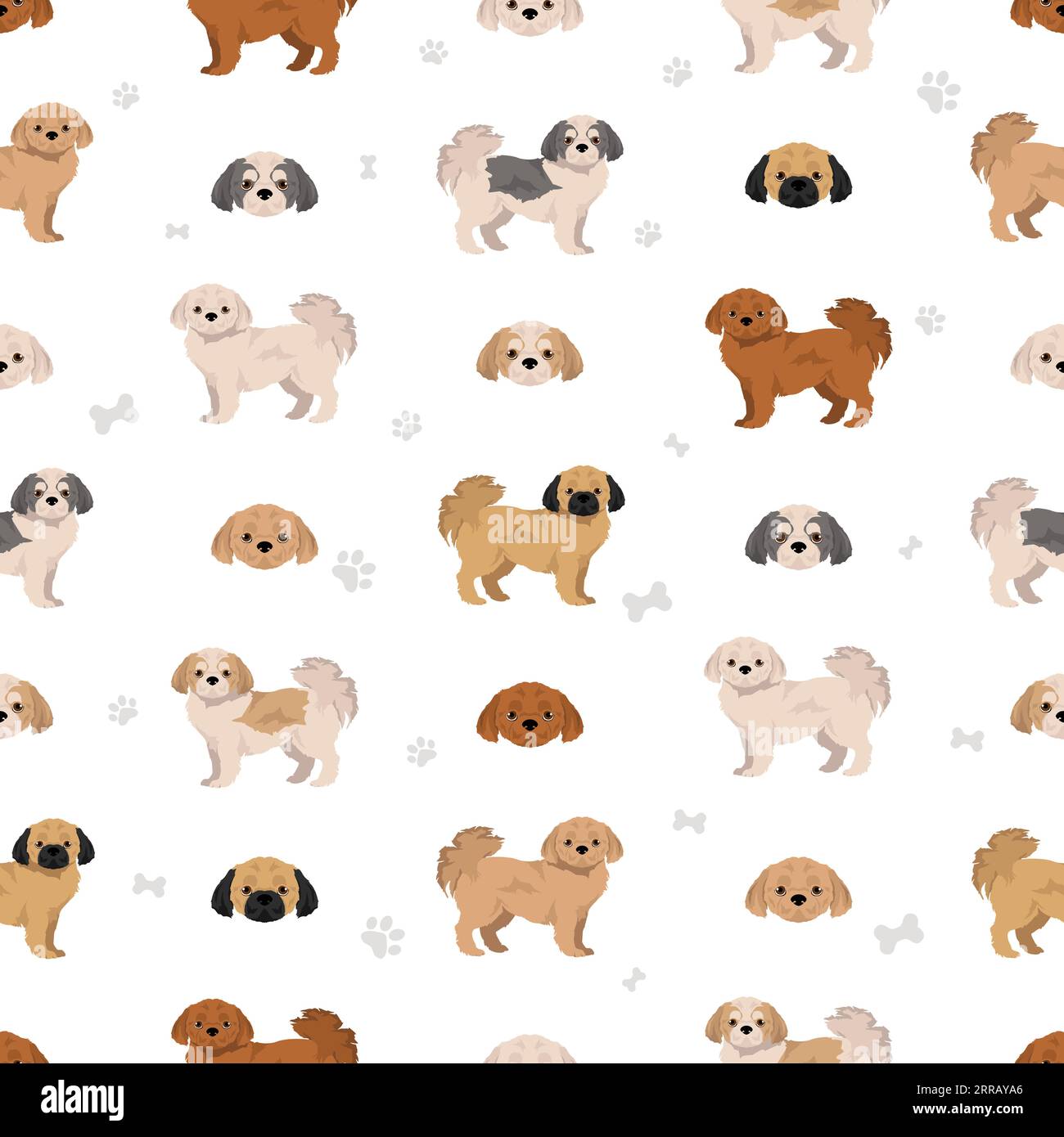 Peekapoo seamless pattern. Pekingese Poodle mix. Different coat colors ...
