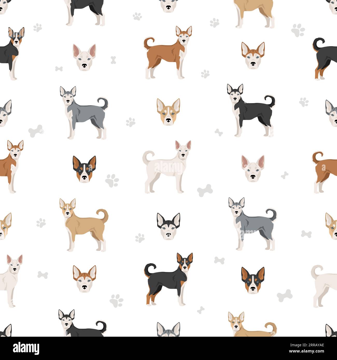 Pitsky seamless pattern. Pit bull terrier Siberian Husky mix. Different ...