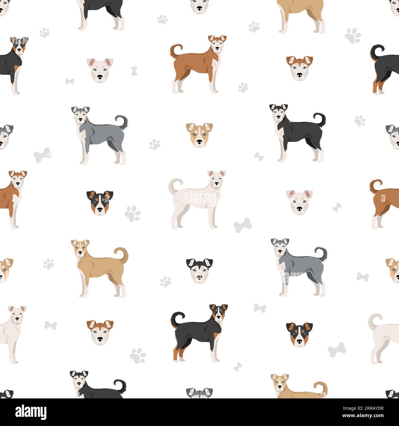American pit bull terrier background Stock Vector Images - Alamy
